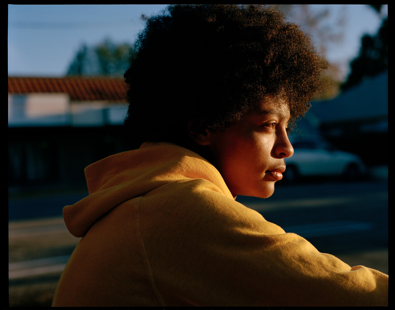 Joe Perri | arthouse