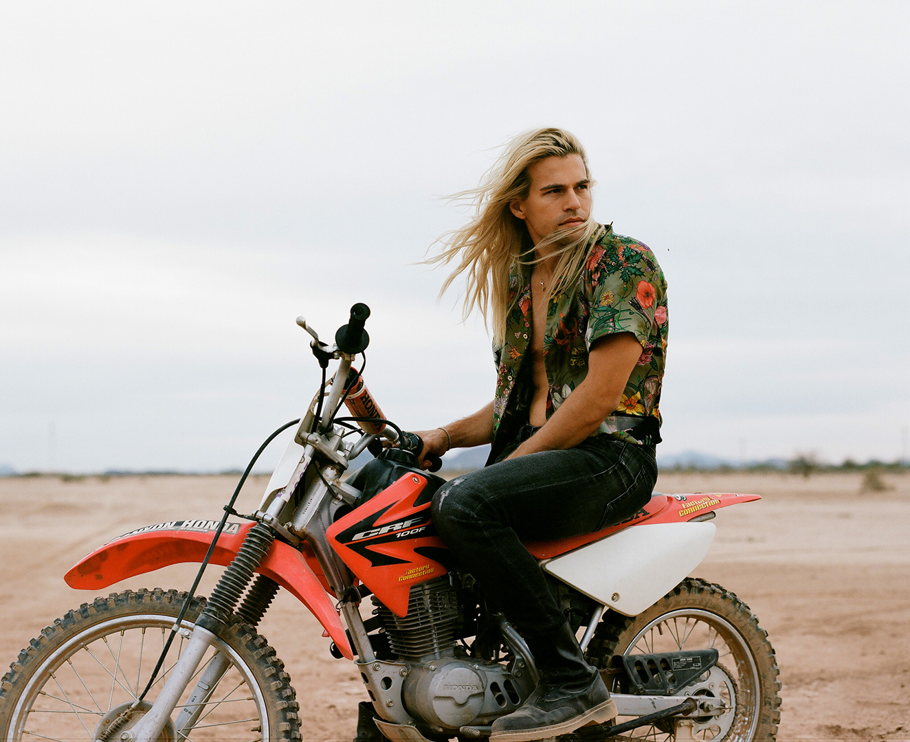 Joe Perri | arthouse